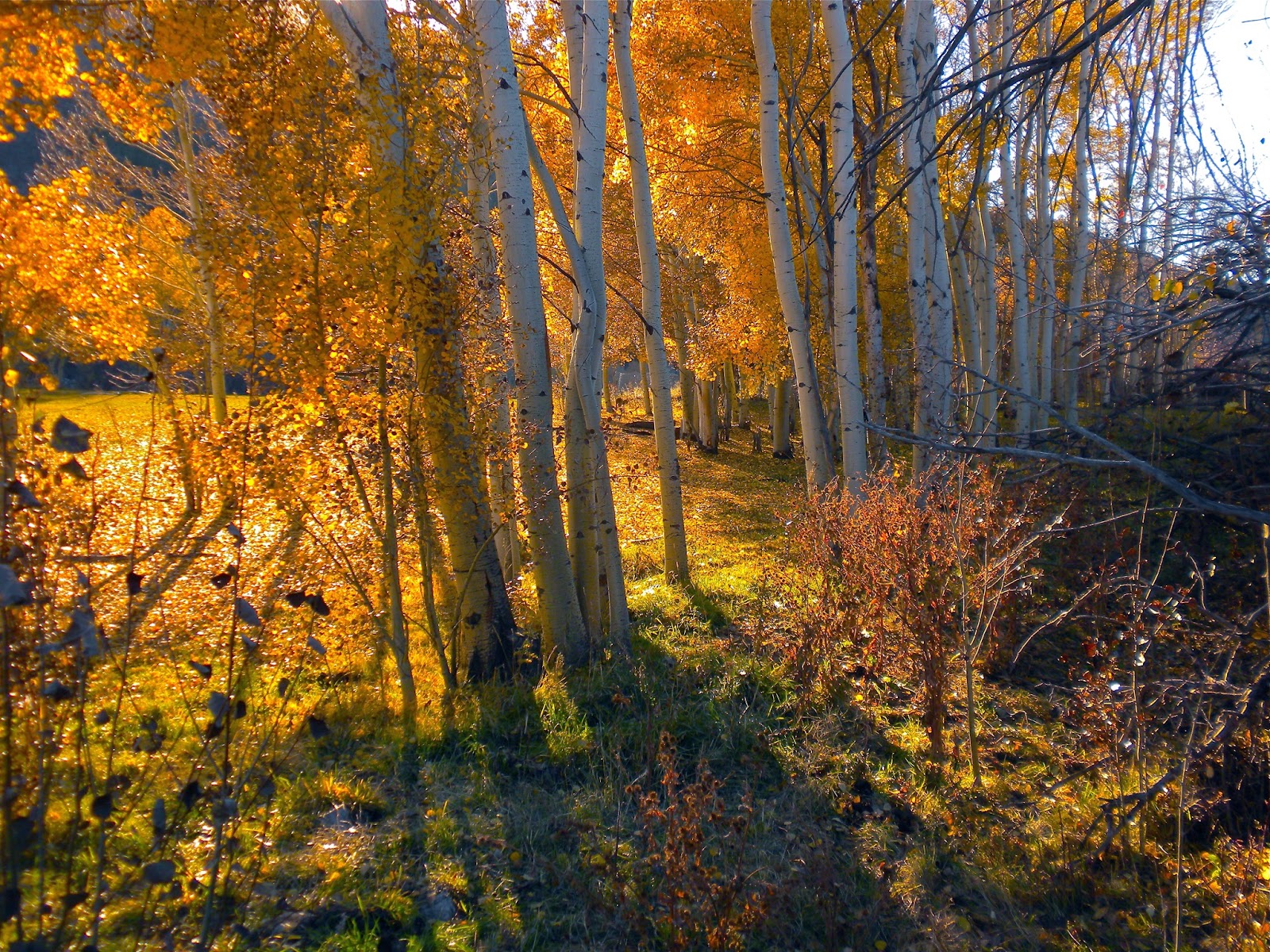 Bruce Cheever Art: Artist's Wanderings