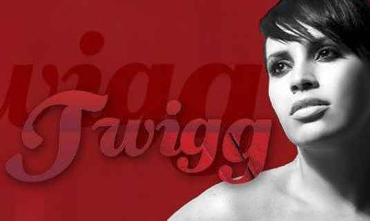 Twigg ~ Rio Music Brasil - O melhor da música brasileira