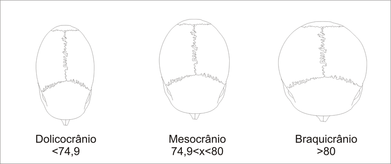 Tareas Odontolológicas: Biotipo Facial