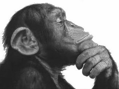 Blog do Chivunk: SER MILITAR: Uma dúvida cruel