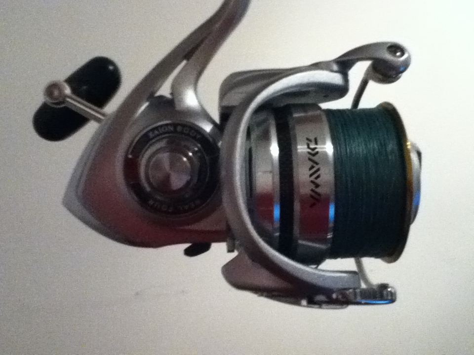 FISHING FEVER: DAIWA NEW CALDIA