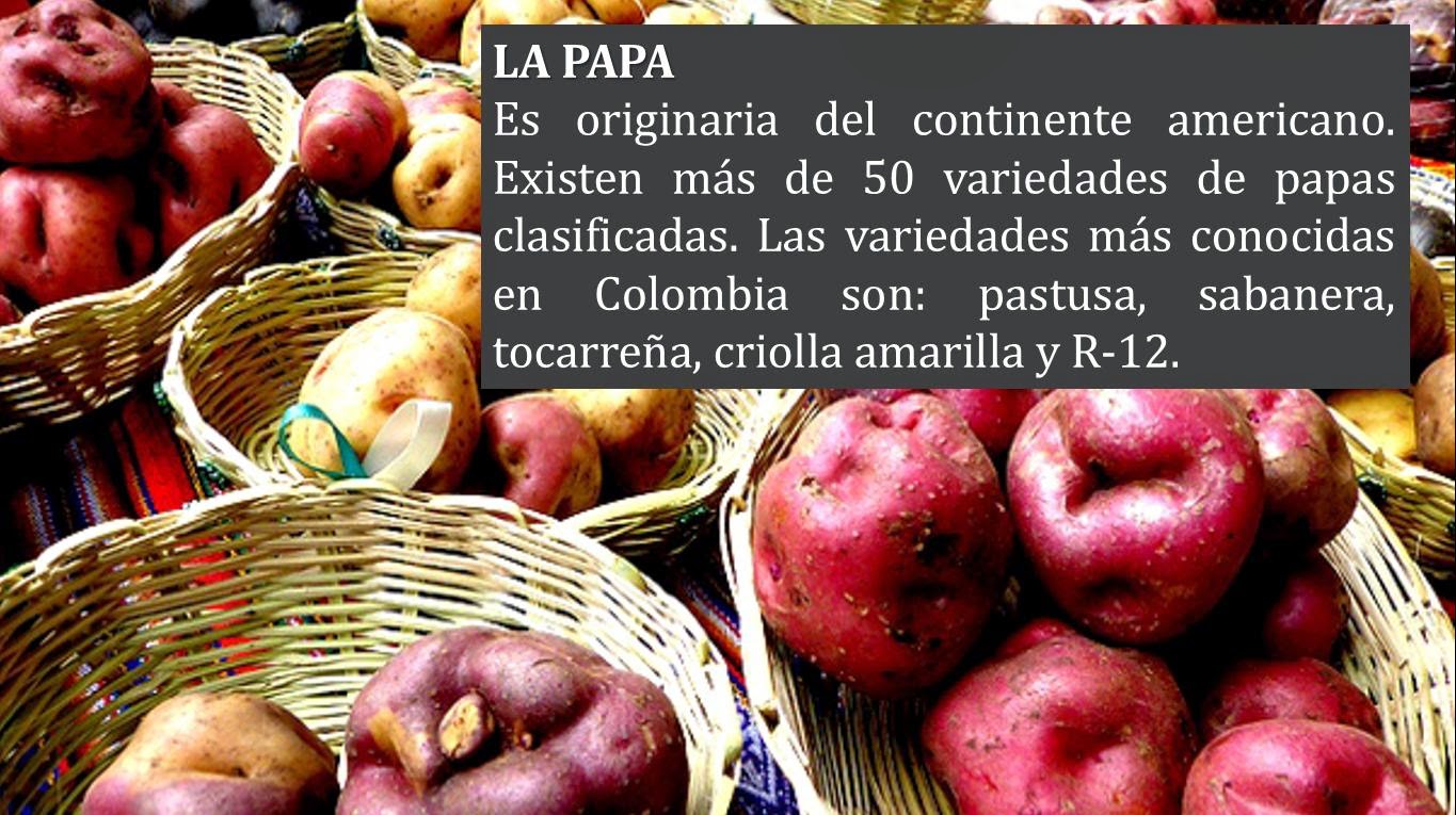 Apuntes Gastronómicos.: La papa.