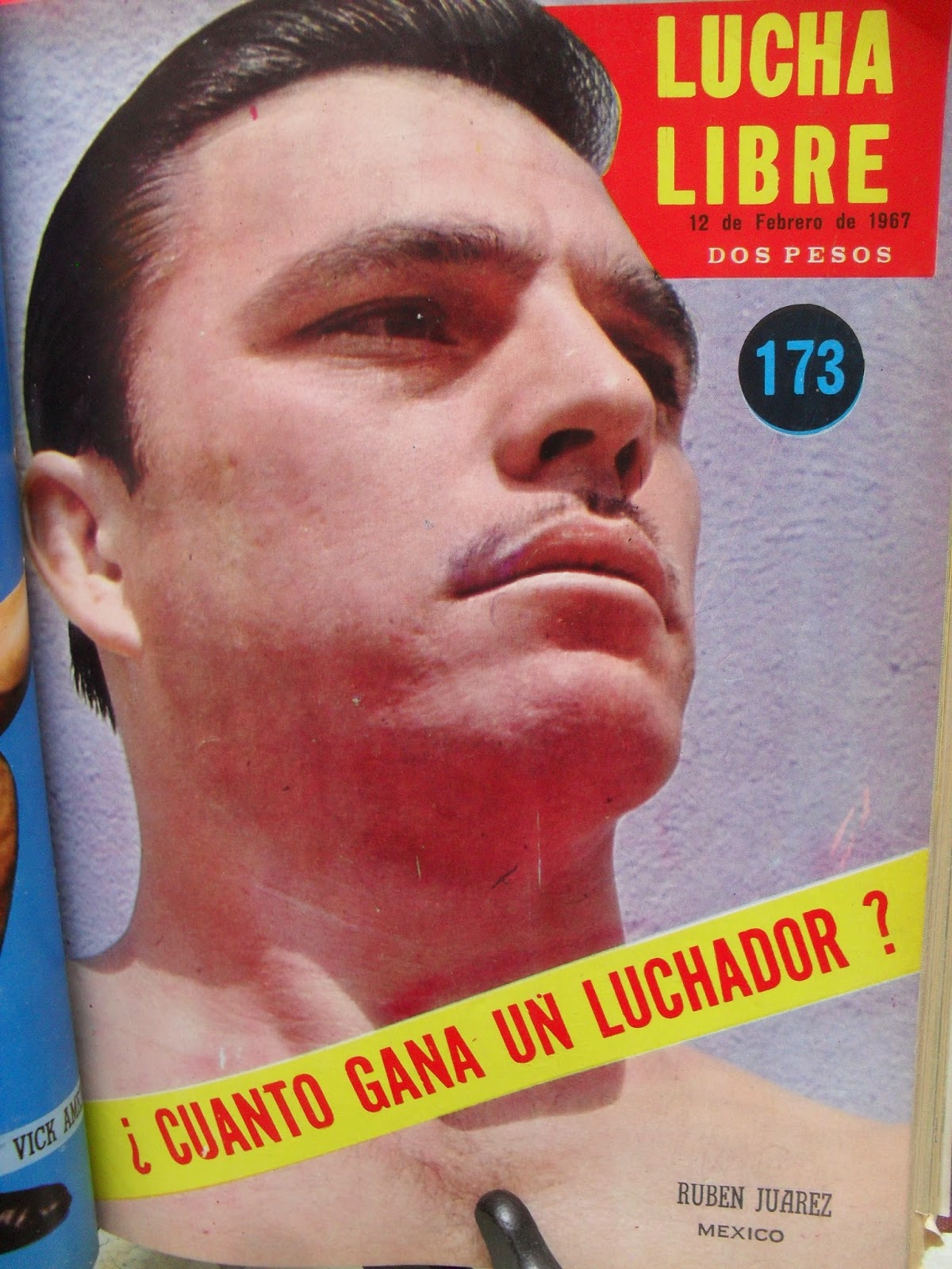 LUCHA LIBRE LATINA: MES DE MARZO DEL 2015