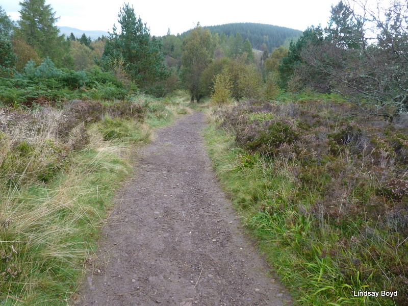 Caledonia Hilltreks Scottish Sub 2000 feet Hills: Knock of Crieff ...