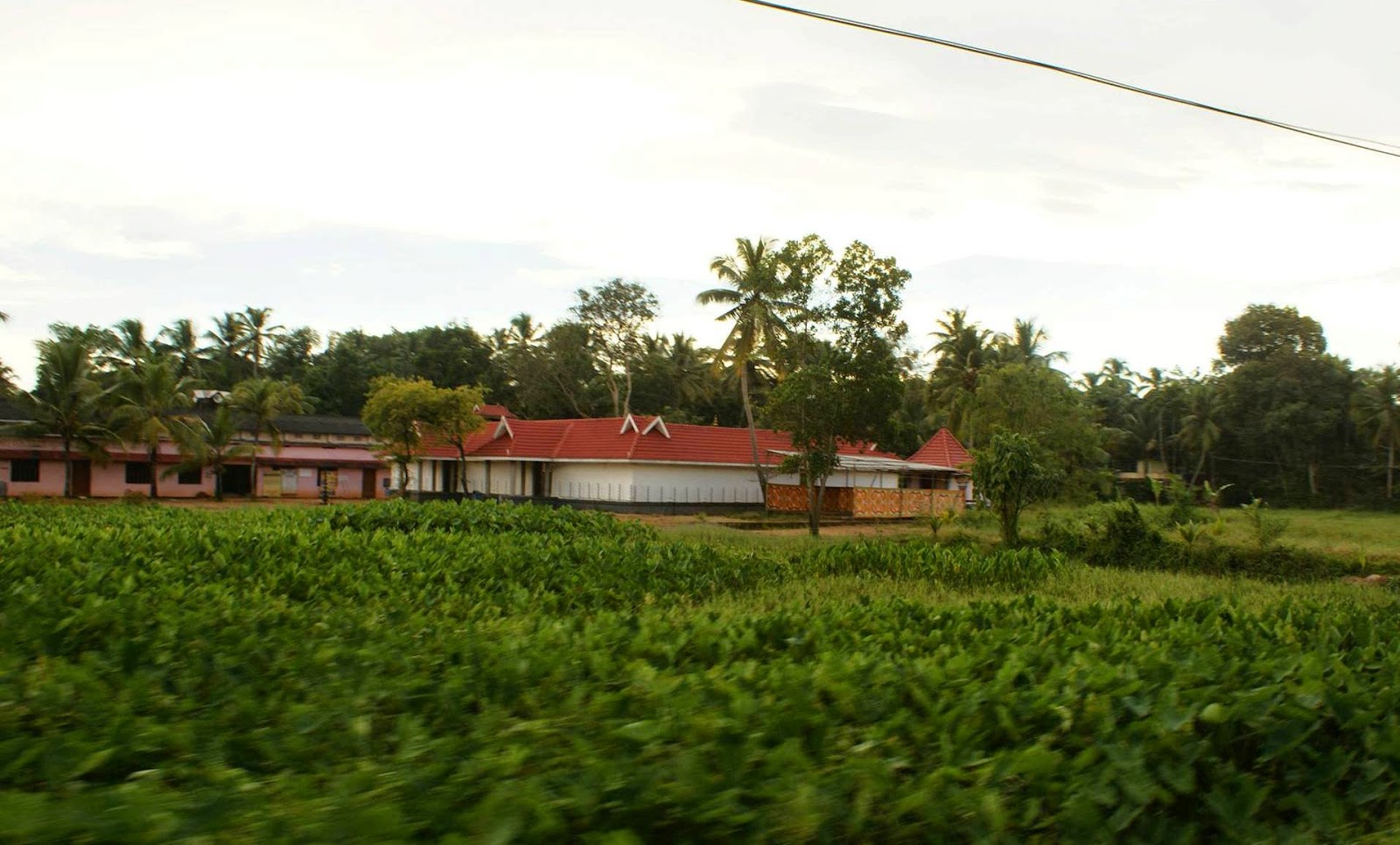 PUTHUPPARAMP SREE BHAGAVATHY TEMPLE THALAVADY: Photo Gallery