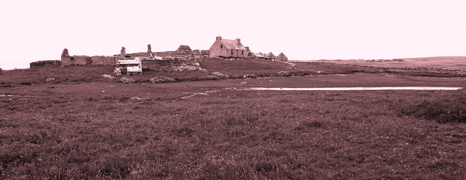 Tim Wootton Wildlife Art: Six Artists on Swona - An Island Odyssey