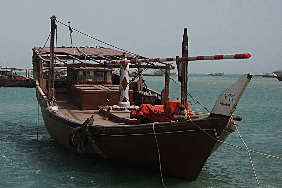 Birds of Saudi Arabia: Common Starling - Qatif Thursday Market