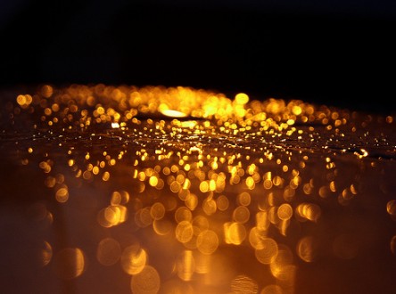 Orange Photography: 200+ Best Orange Photography