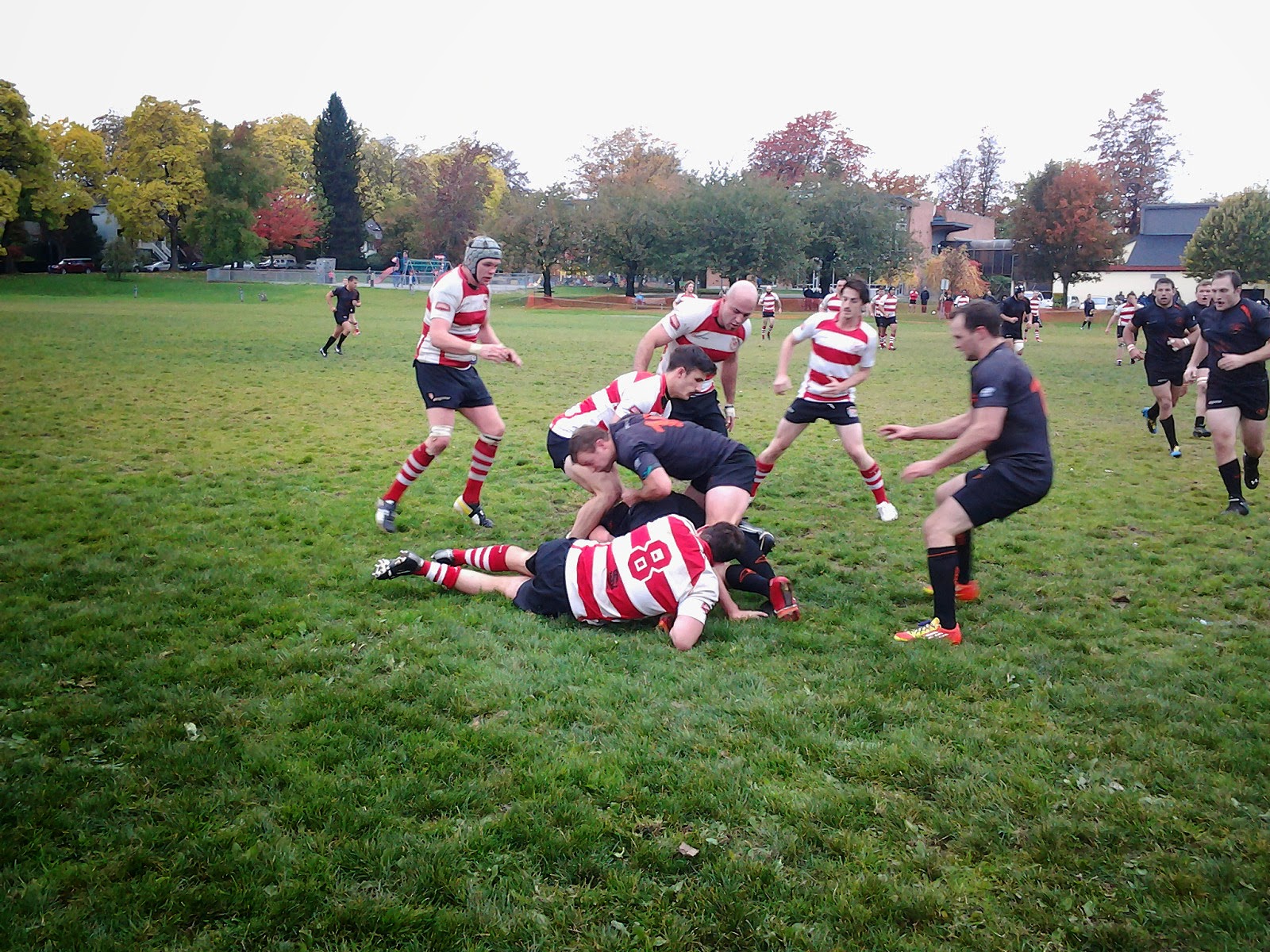 VRC Rugby: Rowers capture first premiership win
