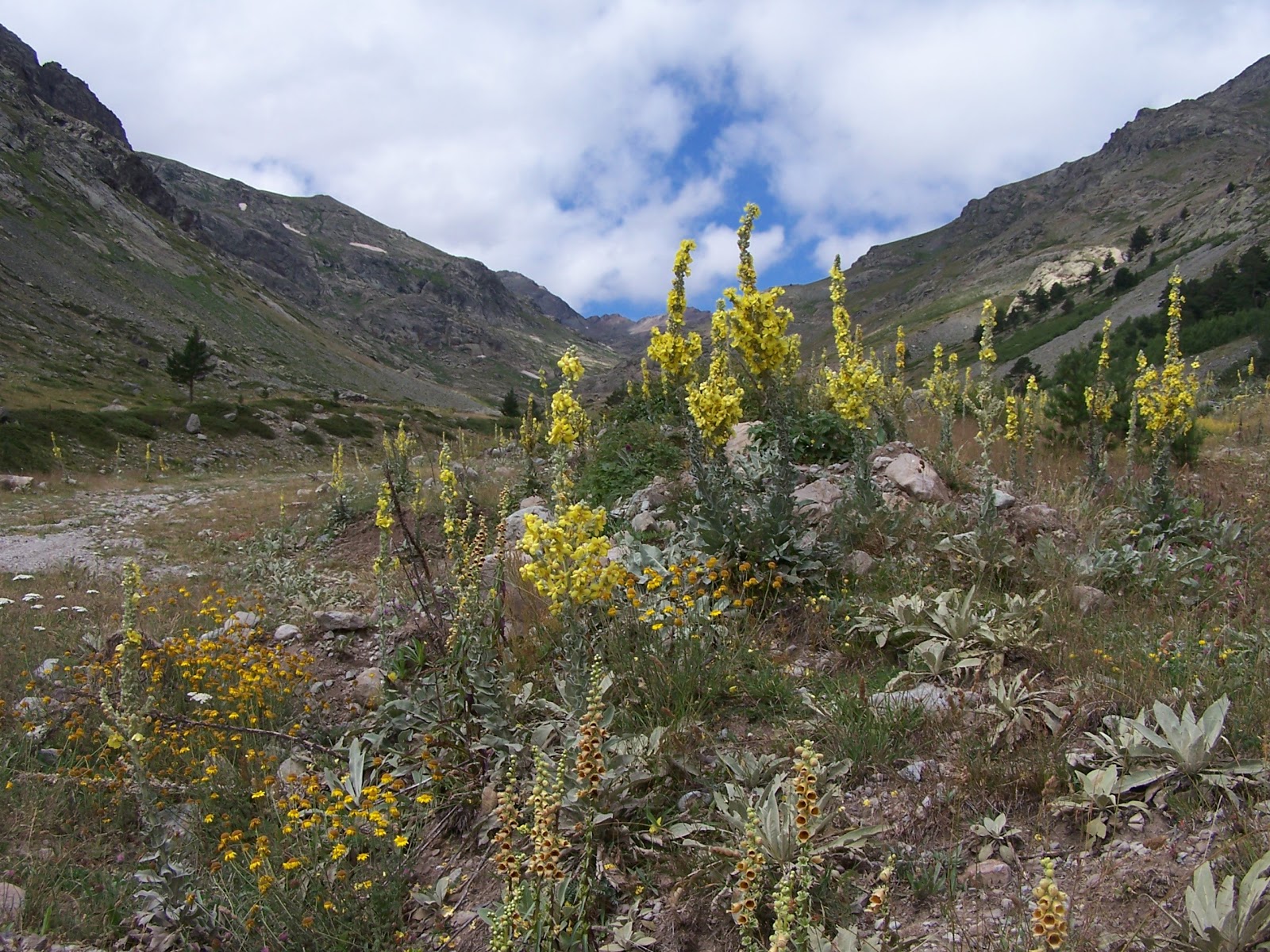 Kelkit - JungleKey.fr Image