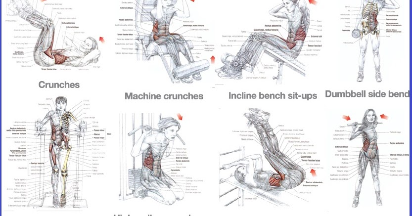 Abdominal Exercises For Beginning Bodybuilders ~ multiple fitness