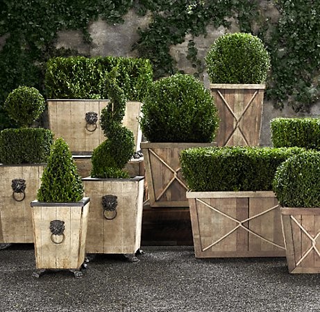 Eye For Design: Decorating With Topiary.....For Your Home And Gardens