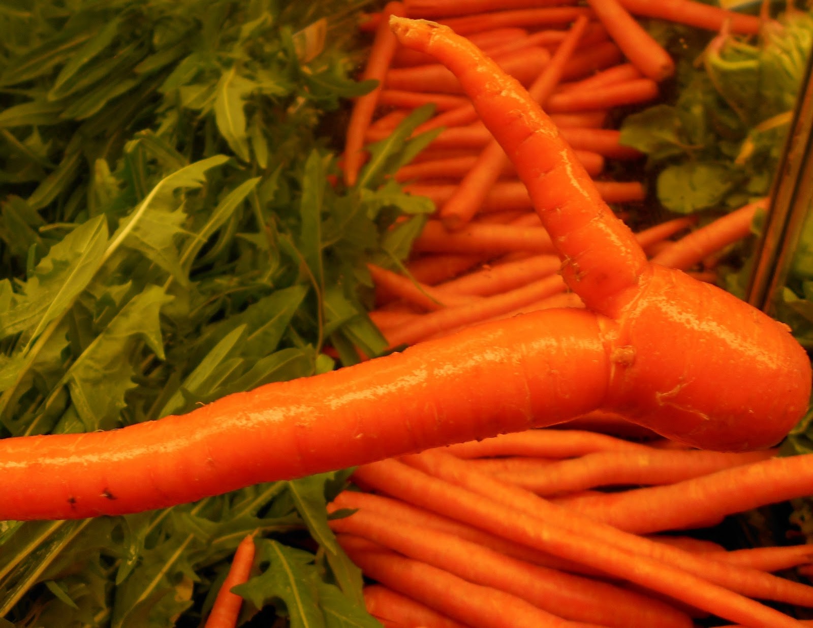 Freckle Face's Blog: The Astonishing Secret Lives of Vegetables