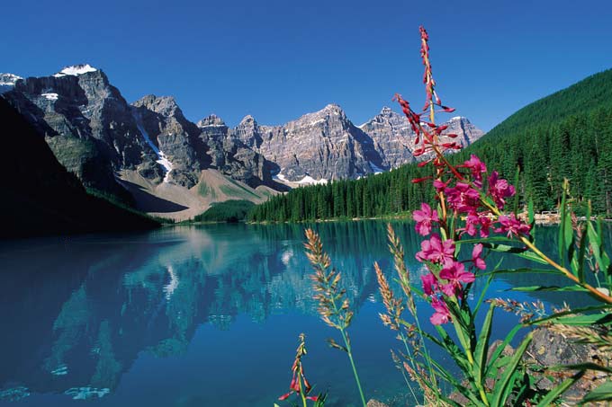 Por un medio ambiente mas limpio: por un medio ambiente mas limpio