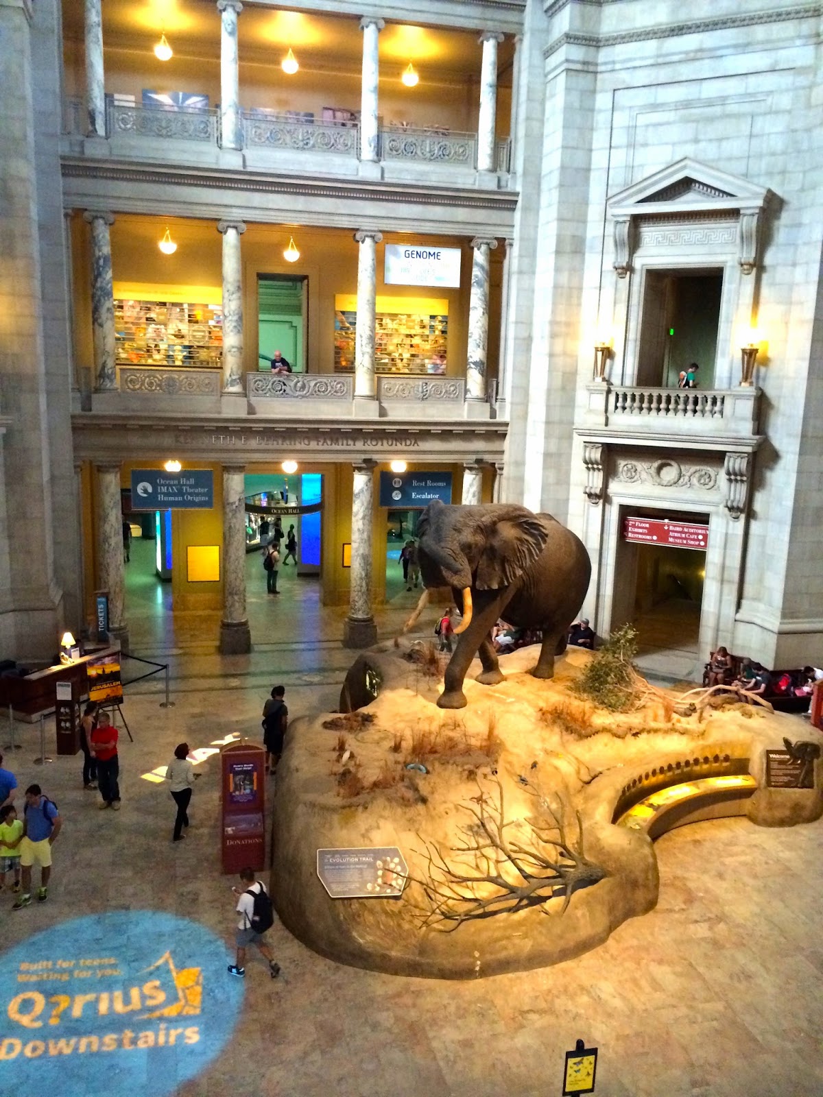 Discover: The National Museum of Natural History, DC {A Photo Tour ...