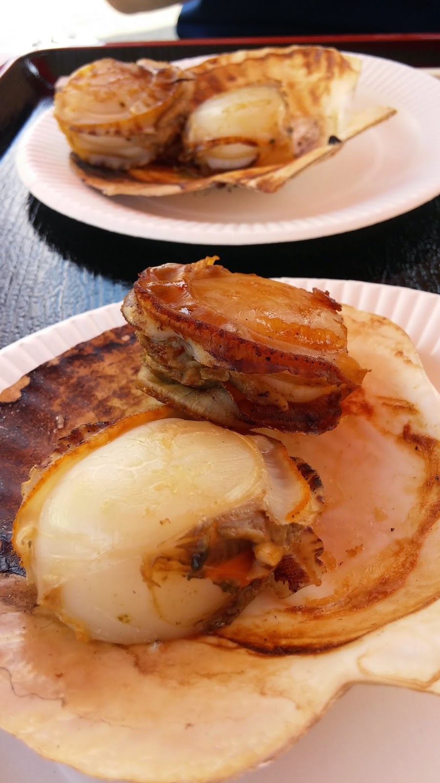 Traveling and Teaching in Rural Japan: Scalloping in Mutsu Bay