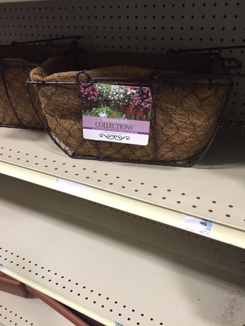 Let's Add Sprinkles: Ten Fun Reasons to Visit Tractor Supply