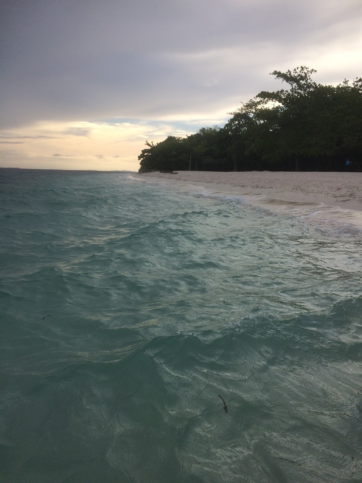 The Pink Sand Beach (Sta. Cruz Island) @ Zamboanga City; Philippines ...