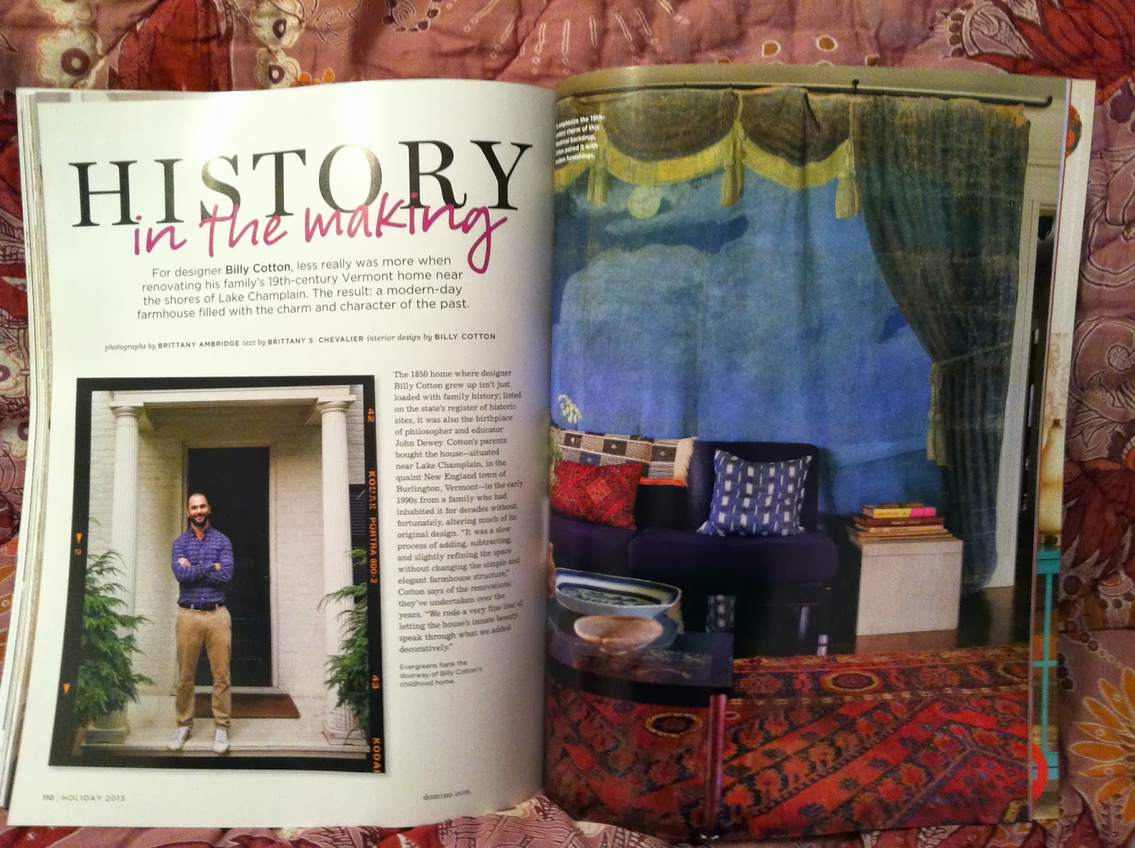 Lotus & Fig: Domino Magazine Returns!!!