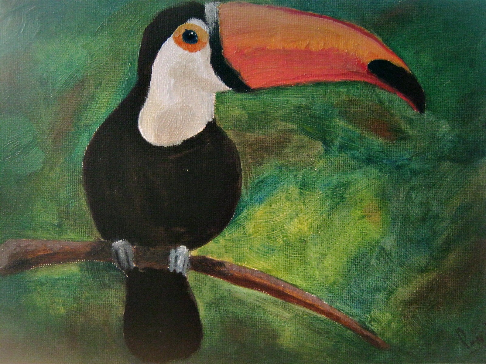 Ver el mundo con mas colores: Tucan