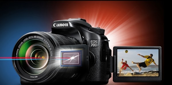 Michael Daniel Ho - The Wildlife Ho-tographer: Dual Pixel Technology ...