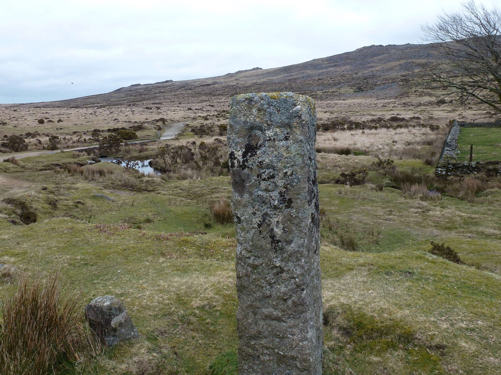 My Dartmoor Walks: Tuesday 20th March Belstone