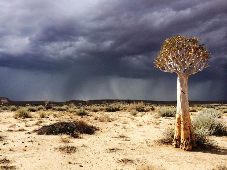 Stanford in Namibia: Heavy Thunderstorms in Namibia?