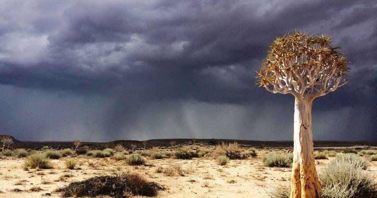 Stanford in Namibia: Heavy Thunderstorms in Namibia?