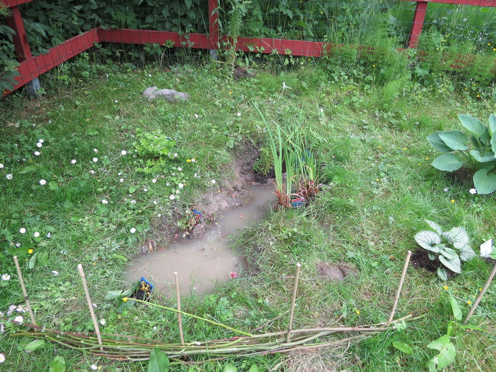 I en by på landet: Att anlägga en sumpmark