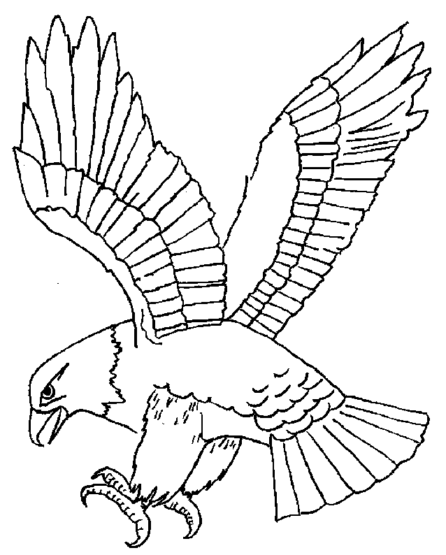 COLOREAR AGUILA - Dibujo para pintar y colorear de un Aguila COLOREAR AGUILA - Dibujo para pintar y colorear de un Aguila