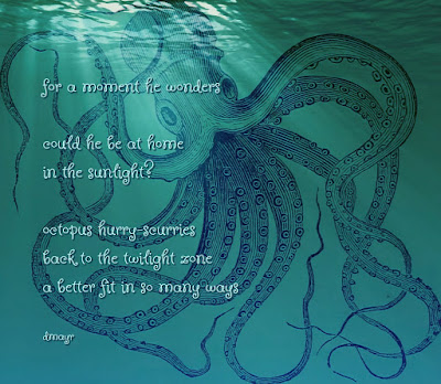 Live Your Poem...: 2 for Tuesday octopus poems by Diane Mayr and Sarah ...