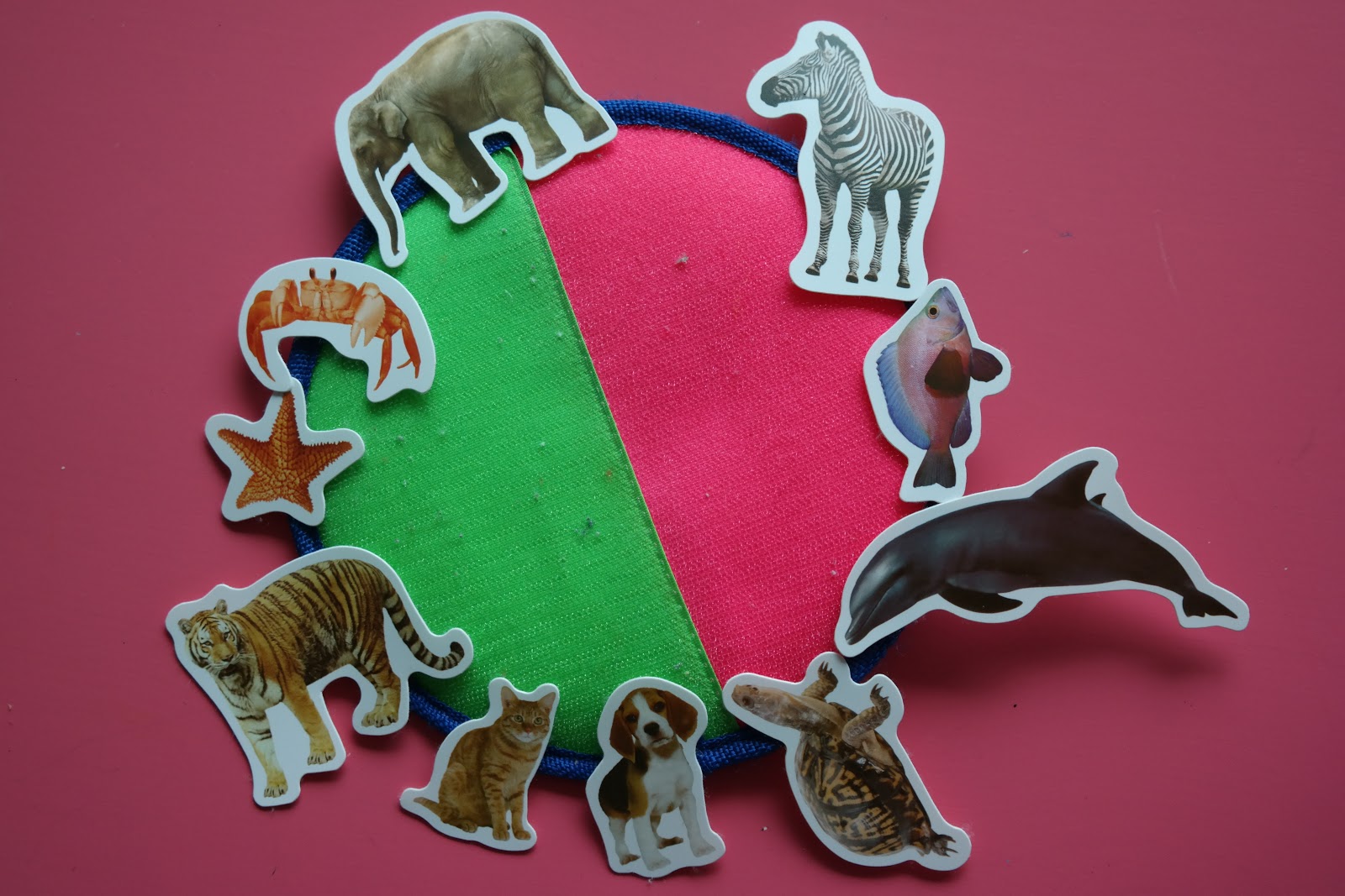 I LOVE TEACHING IDEAS: Act.#2 Sorting Land and Water Animals