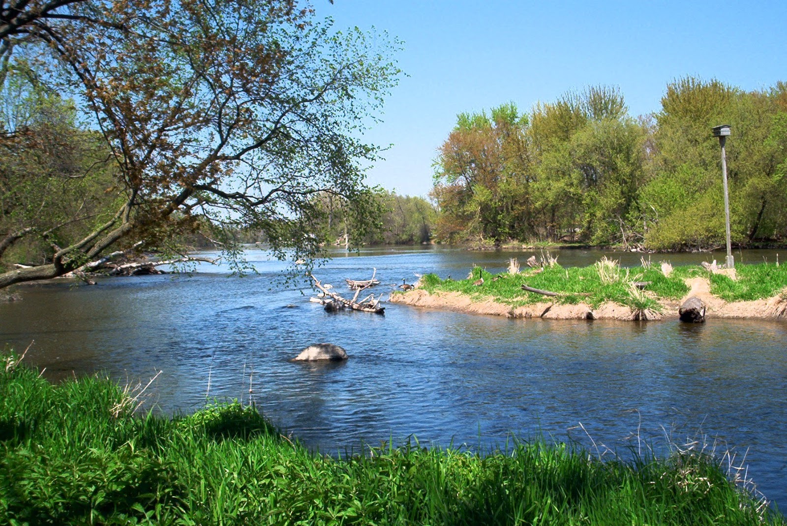 Chuck's Adventures: Kayaking Chicagoland's Fox River