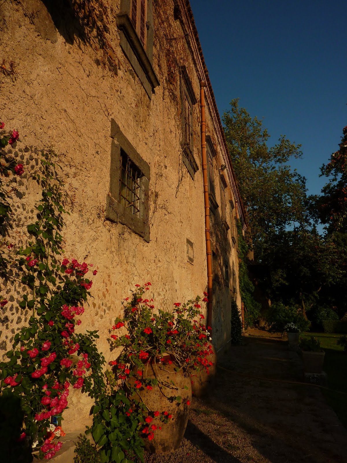 Vagabundus: Sicily - Bronte