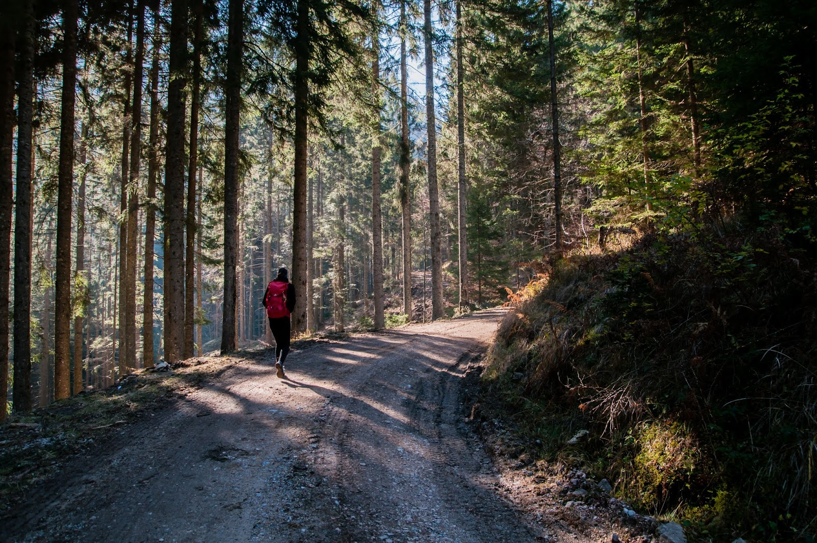 "Važne so zgodbe!!": Kokra