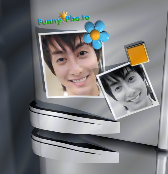 cool photo widget, funny image widget, funny photo widget, funny ...