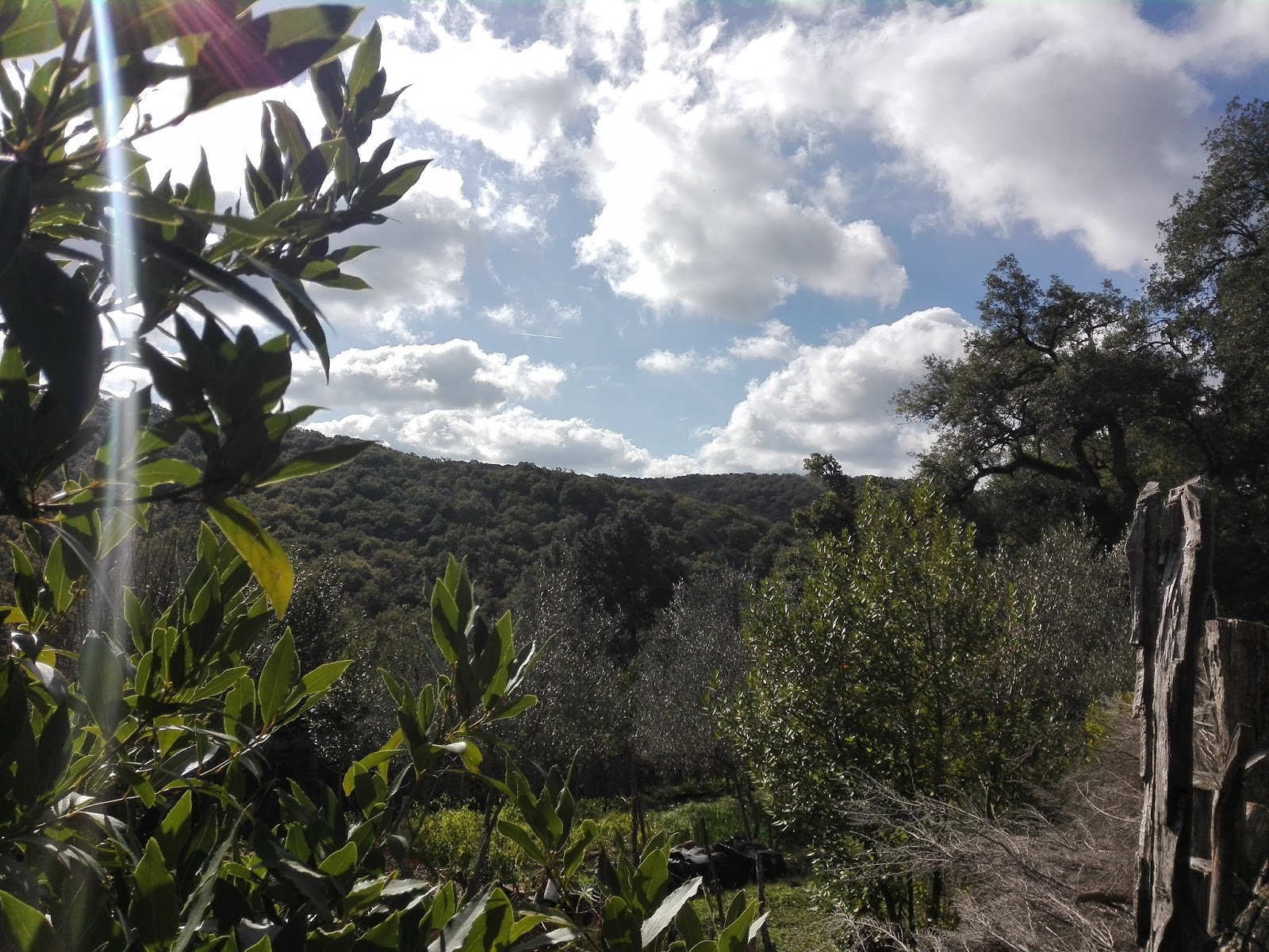 21e Randonnée : Oued Zen - Ain Drahem