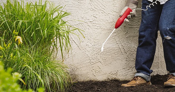 Methods to exterminate pests from home