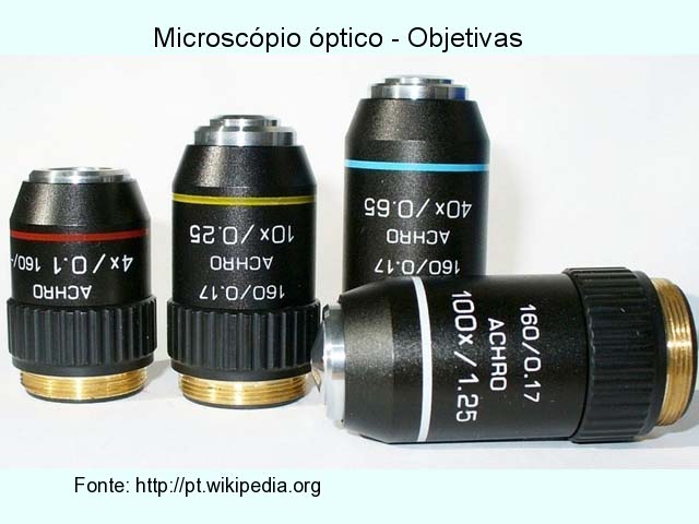 Coleção Ciências Práticas: Prática 01 - O microscópio de luz
