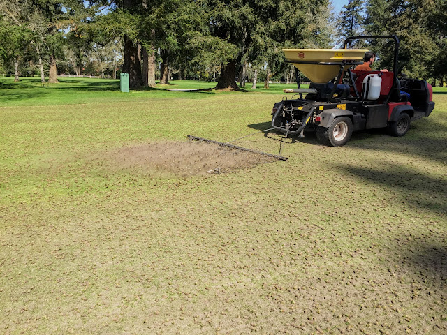 TacomaTurf: Fairway Aeration - Success!