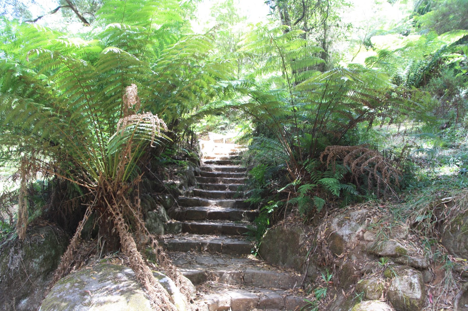 RDO Melbourne: Tooronga Falls, Noojee