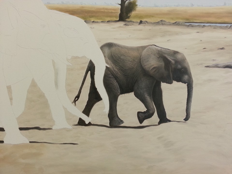 Clive Meredith Wildlife Art: New Elephant oil painting