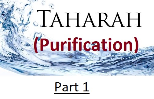 Ibrahim Online: Basic Concepts Regarding Tahaarah (Purification) In The ...