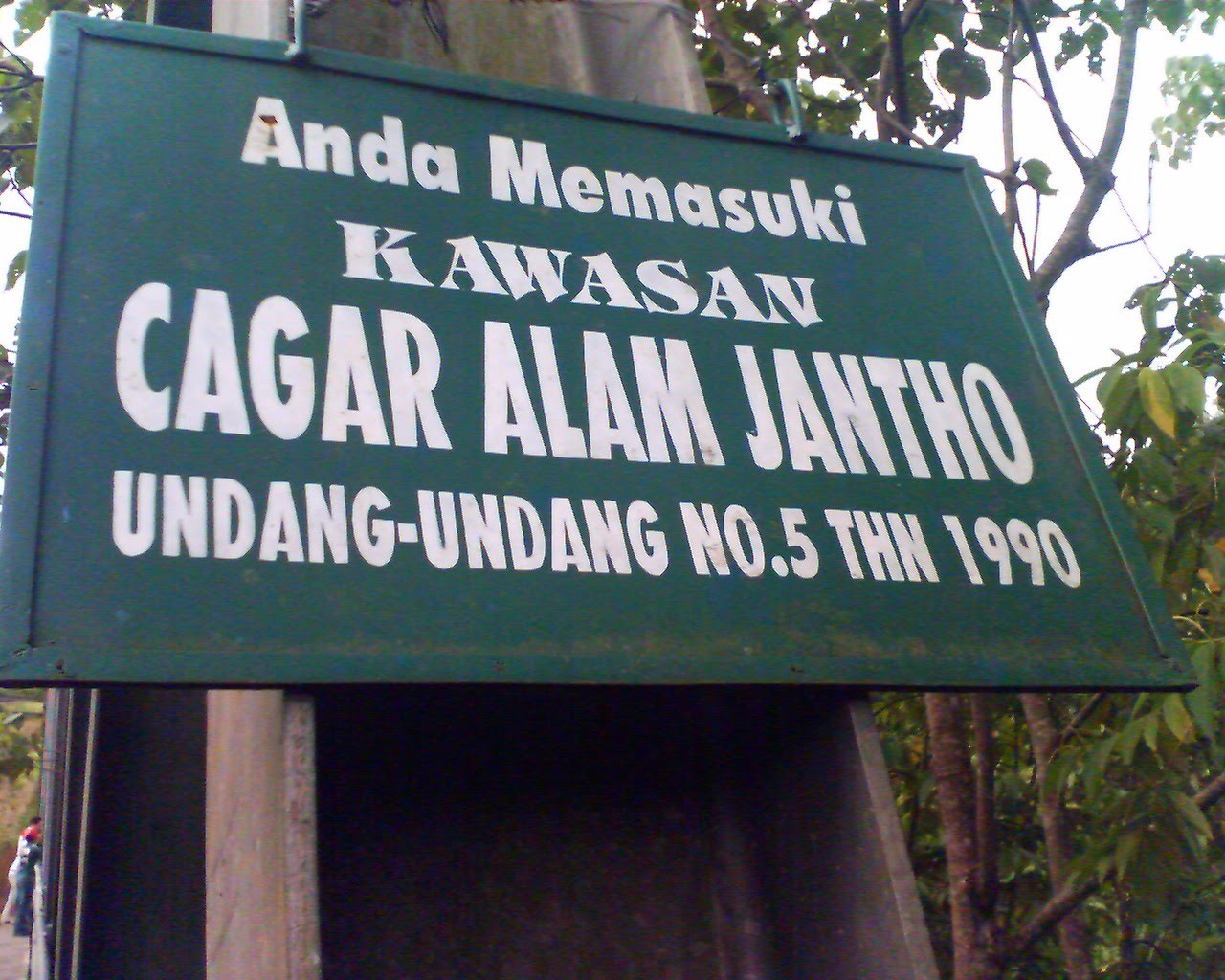 Only Aceh: Cagar Alam Jantho