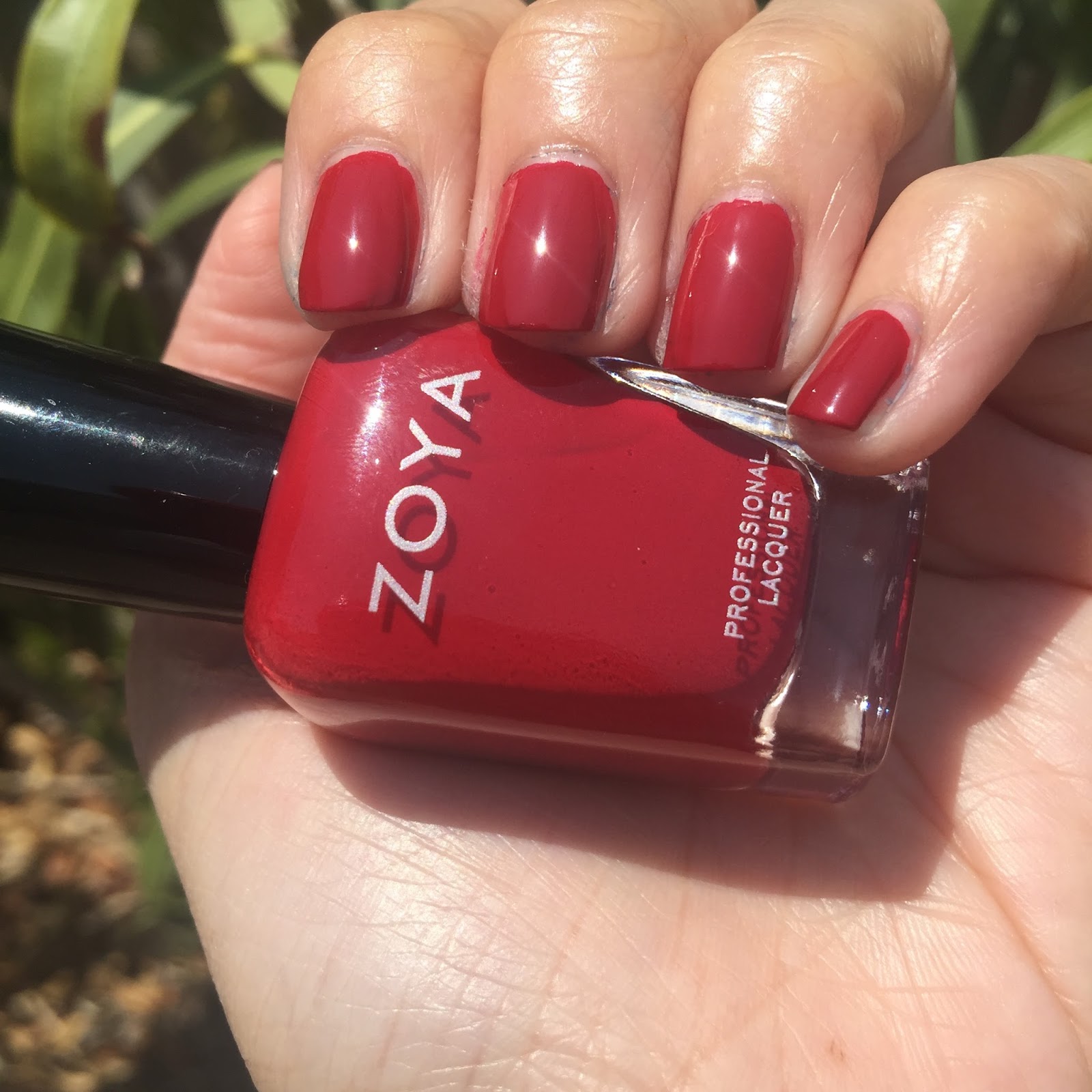 Zoya Fall 2015 Focus and Flair Collections Swatches, Video Review - The ...