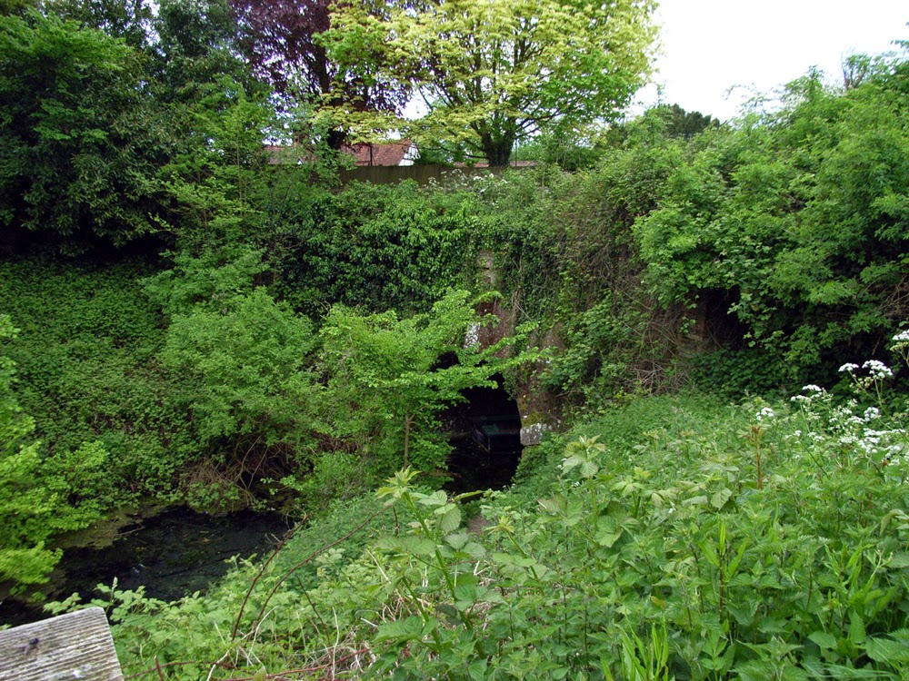 Voyages of Gabriel: Woking to Fleet via Greywell