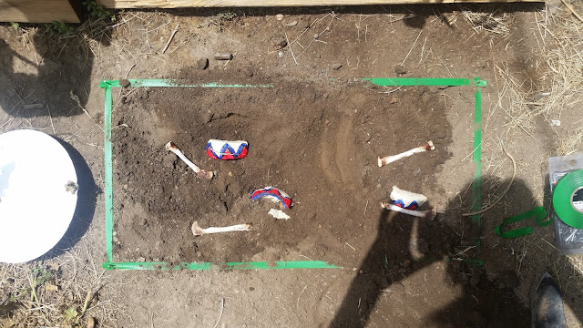 Glimmercat Education: Staging an Archaeological Dig