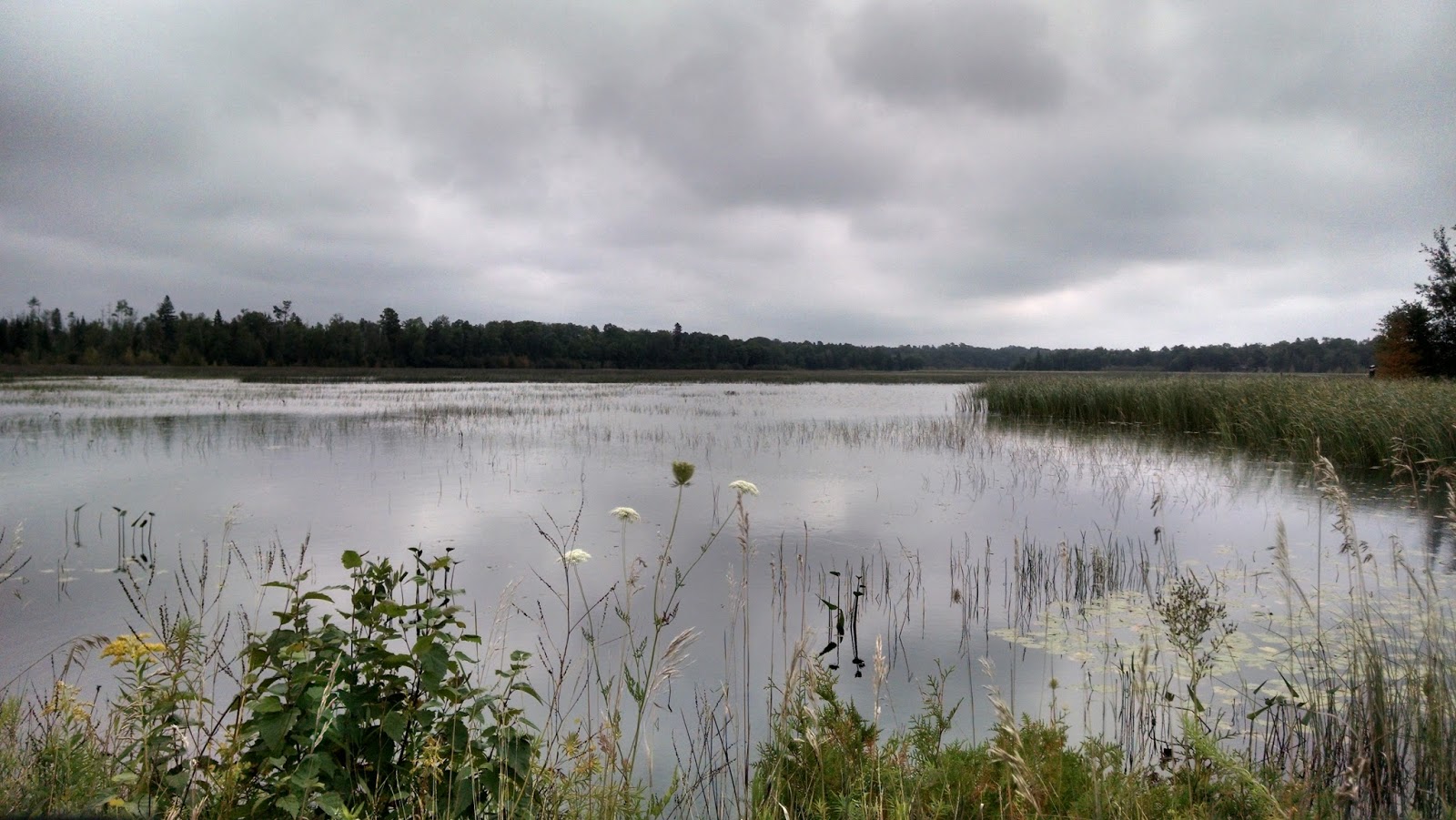 Lifelong Michigander: A Return to the Past at the Les Cheneaux Islands