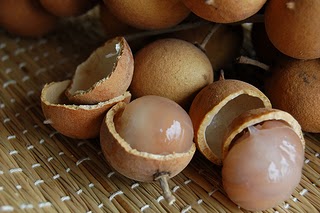 Pitombeira - Talisia esculenta