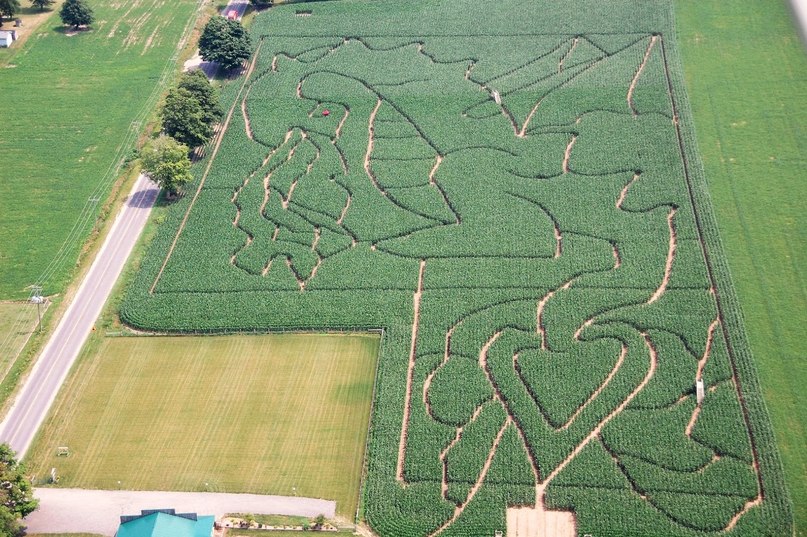 One Tank Trips: Amazing corn mazes, Norfolk County Fair and Horse Show ...